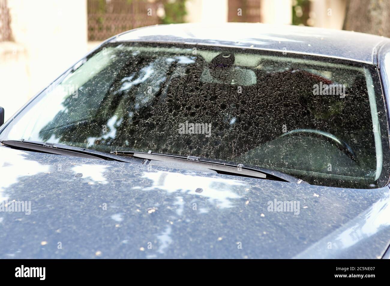 Dirty car with unwashed windshield in dust and dry mud, front part of ...