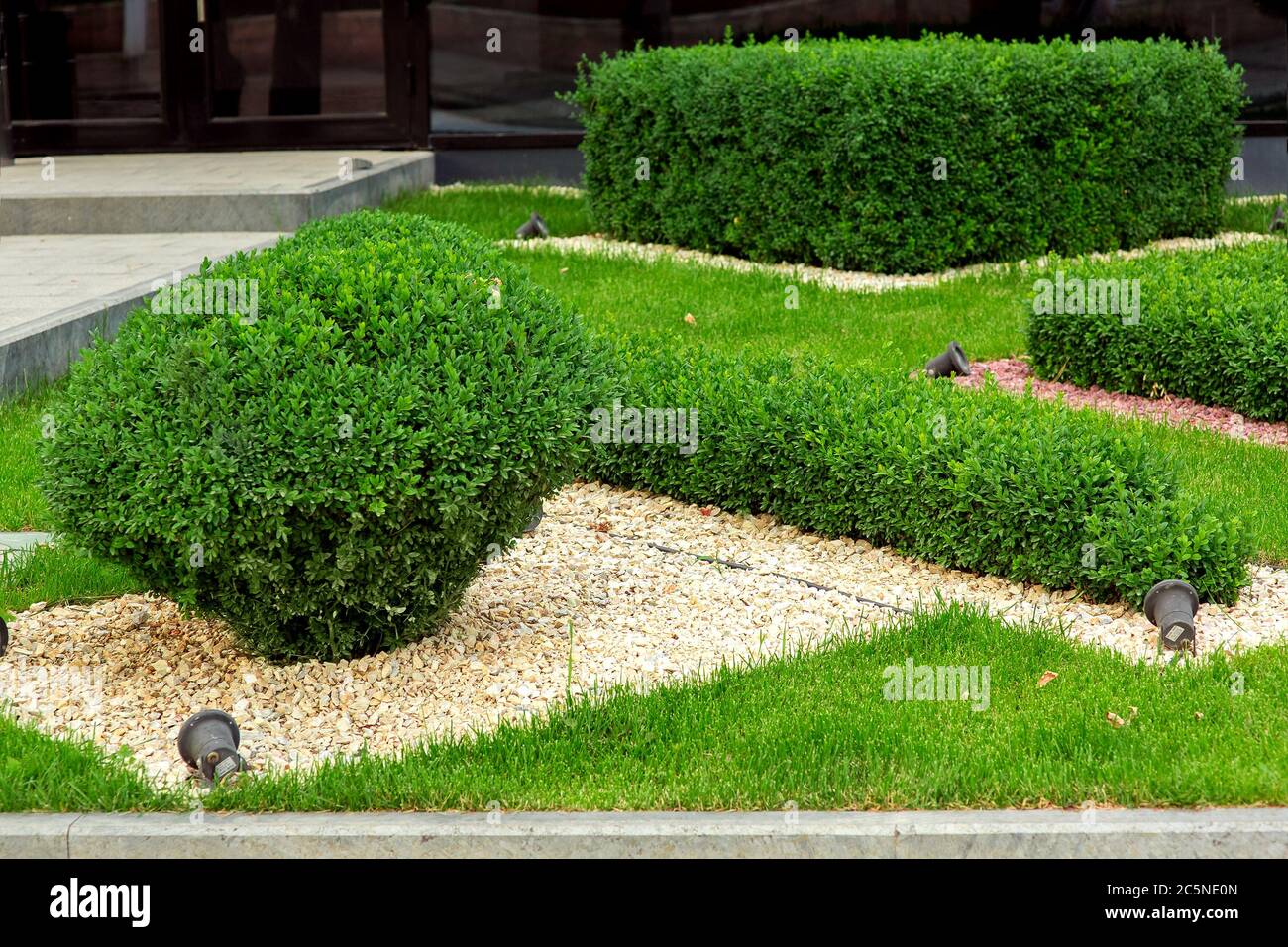 Clipped Boxwood High Resolution Stock Photography and Images - Alamy