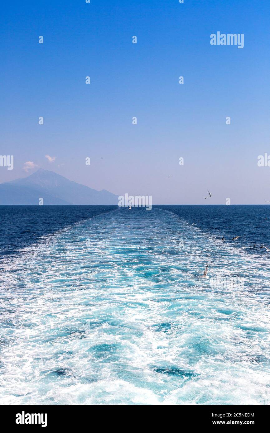 Seabird trace hi-res stock photography and images - Alamy