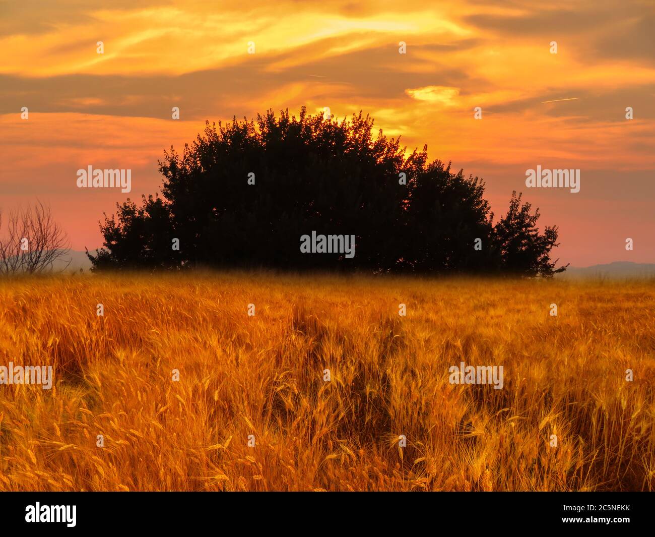 Morning in countryside. Sunrise landscape background Stock Photo - Alamy