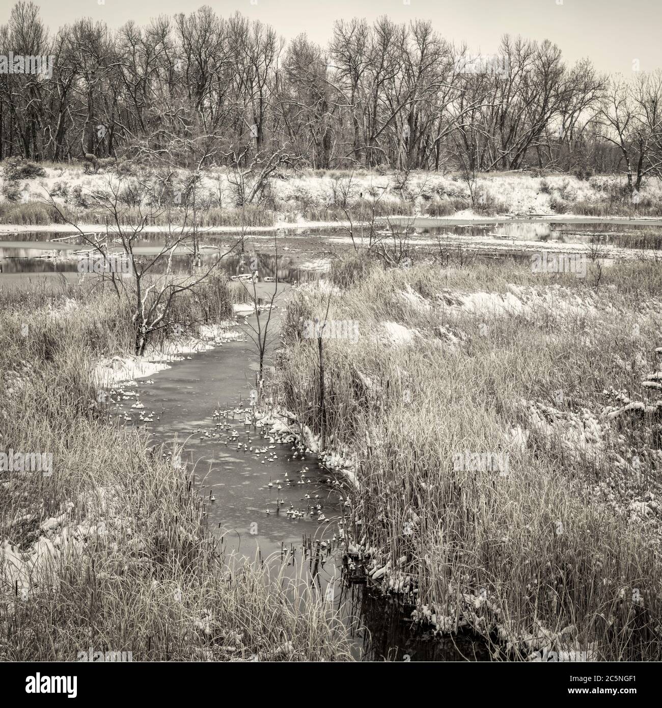 fall or winter scenery in one of natural areas in Fort Collins ...