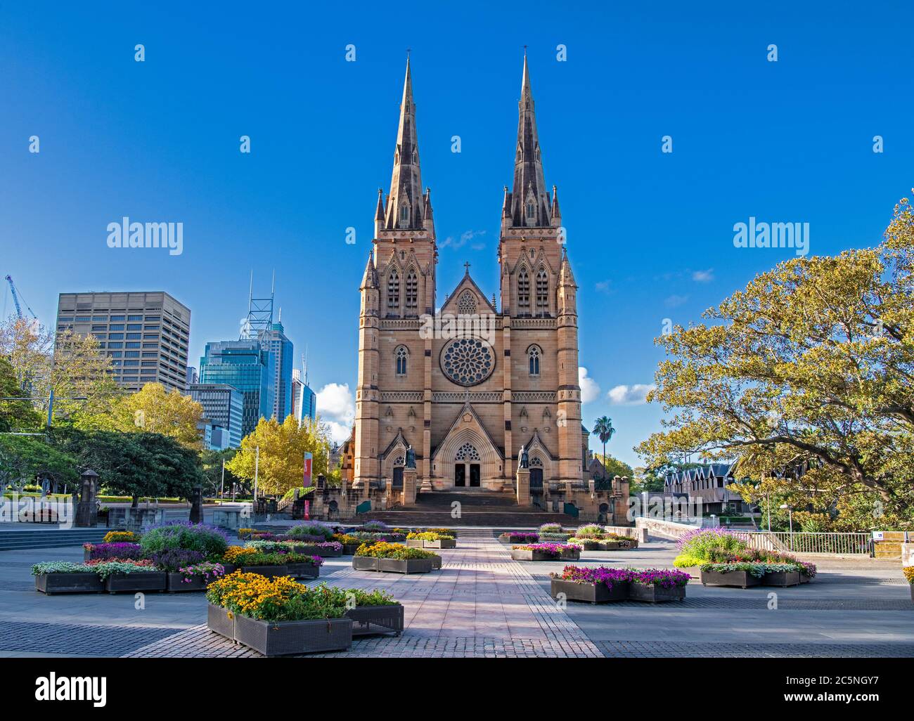 Facade St Marys Cathedral And Gardens Sydney Australia Stock Photo Alamy