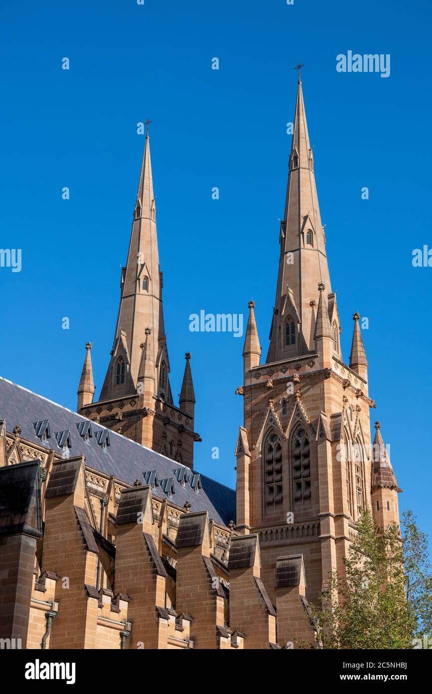 Sydney Catholic Cathedral High Resolution Stock Photography and Images ...