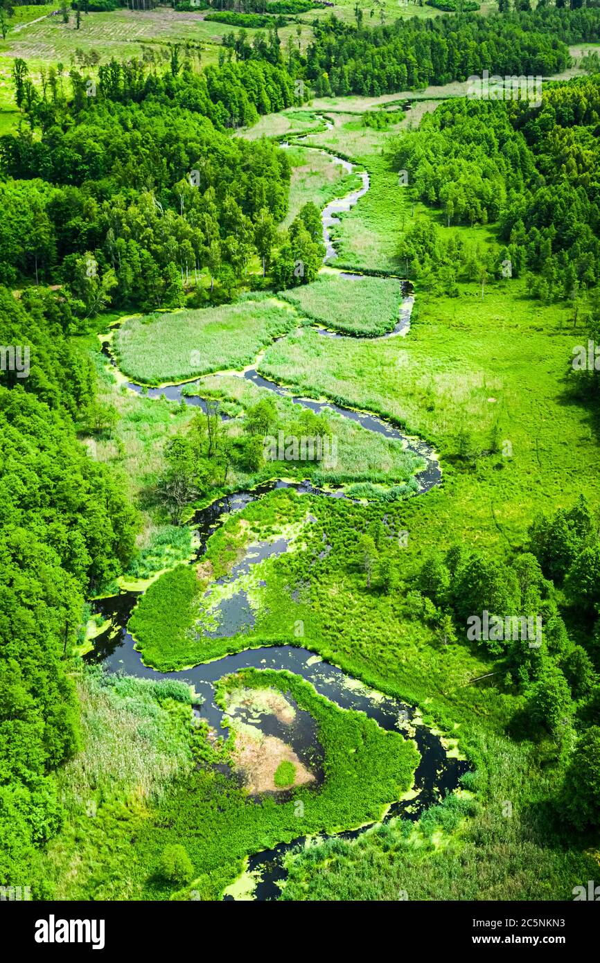 Beautiful green forest and the river in spring, flying above Stock ...