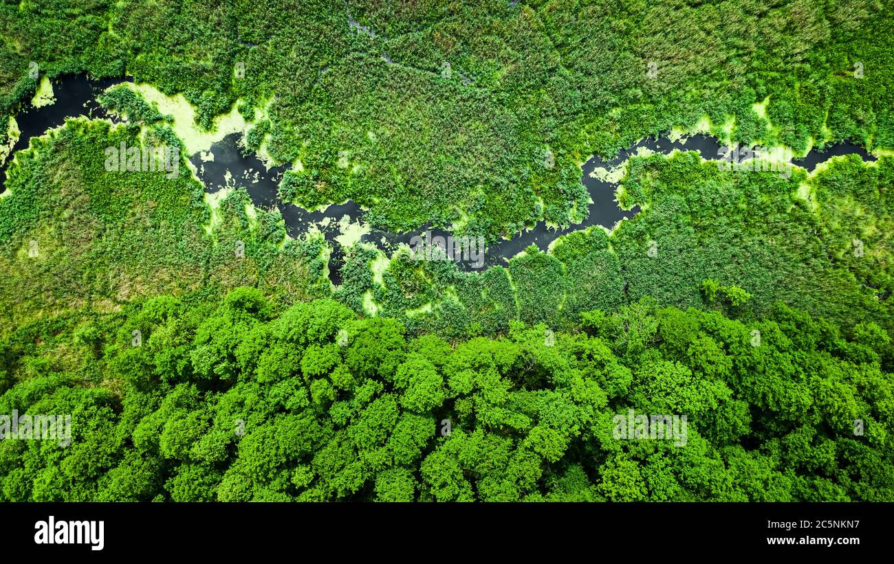 Beautiful blooming algae on the river in spring, flying above Stock ...