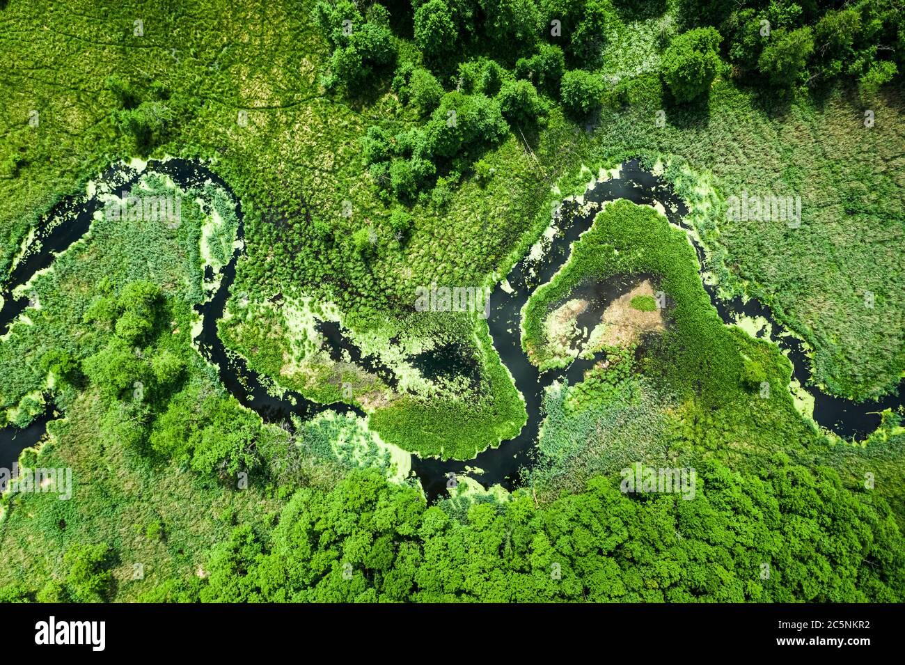Amazing green algae on the river in spring, aerial view Stock Photo - Alamy