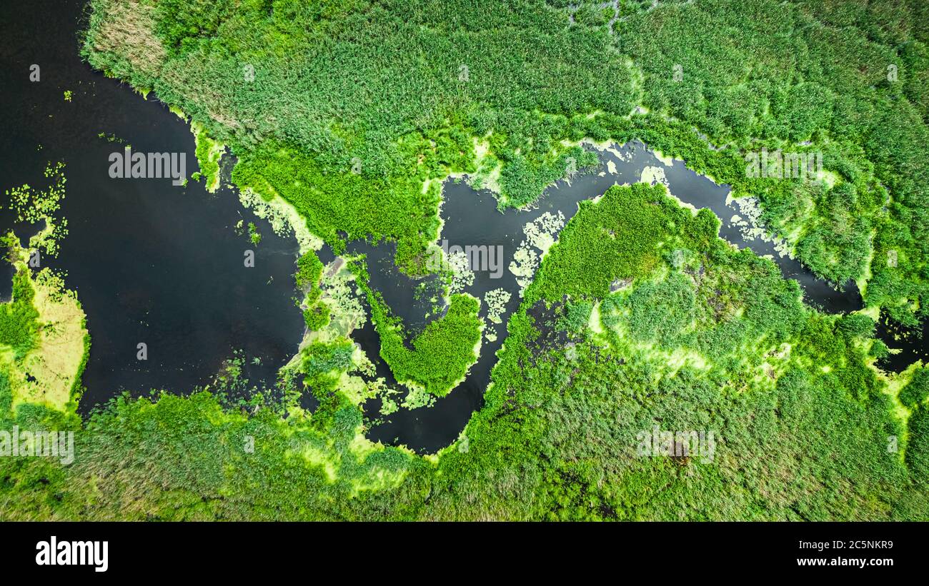 Amazing blooming algae on the river in spring, aerial view Stock Photo ...