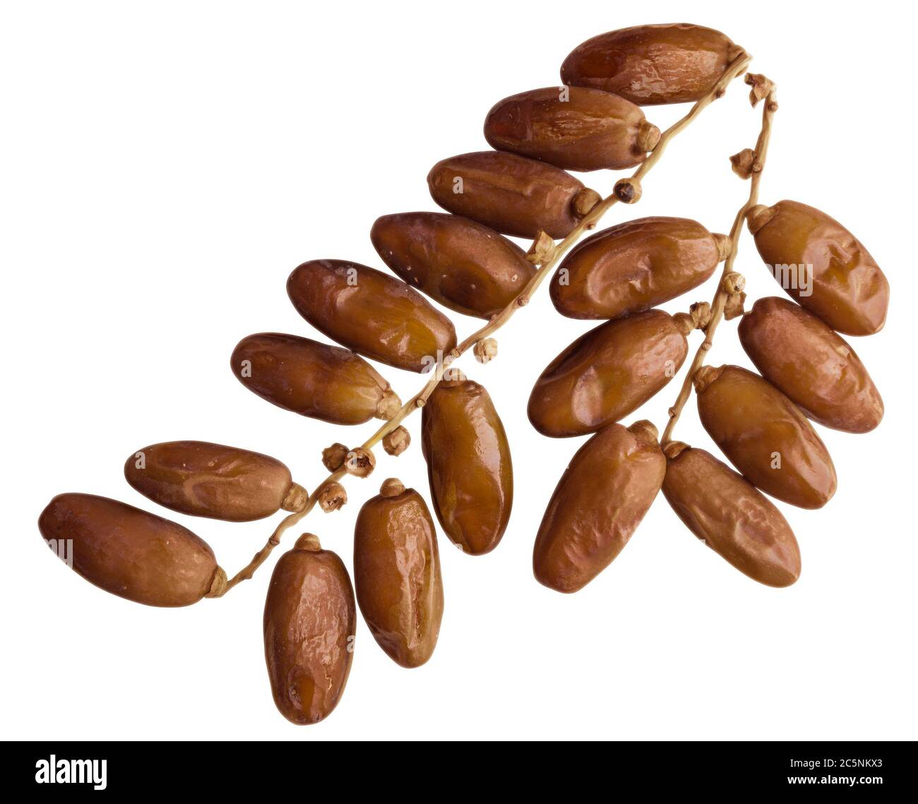 Branch of date fruits isolated on the white background. Clipping path ...
