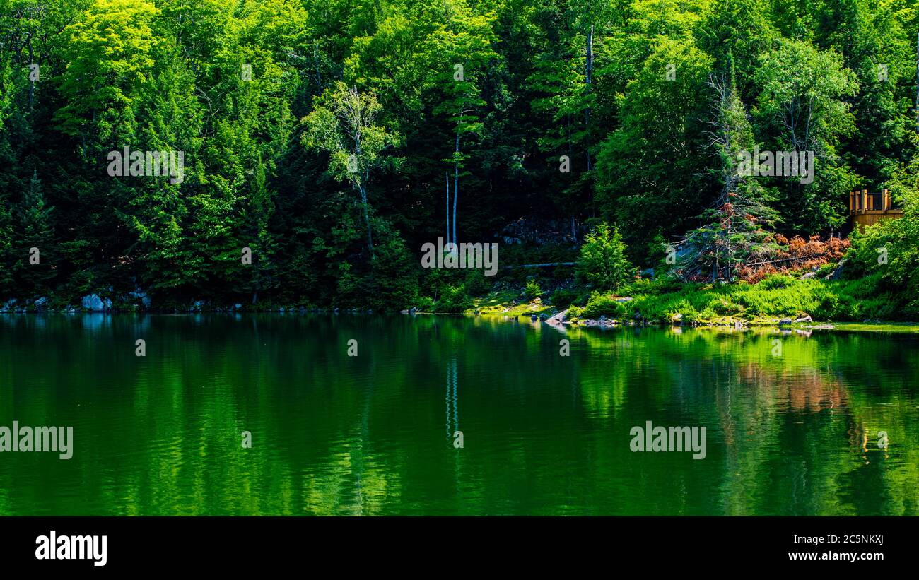 Parc Omega, Canada, July 3 2020 - The lakeside stunning view in the ...