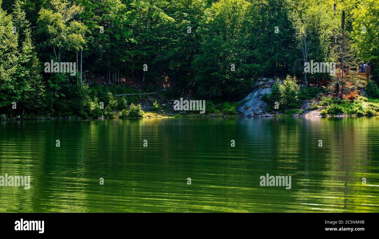 Parc Omega, Canada, July 3 2020 - The lakeside stunning view in the ...