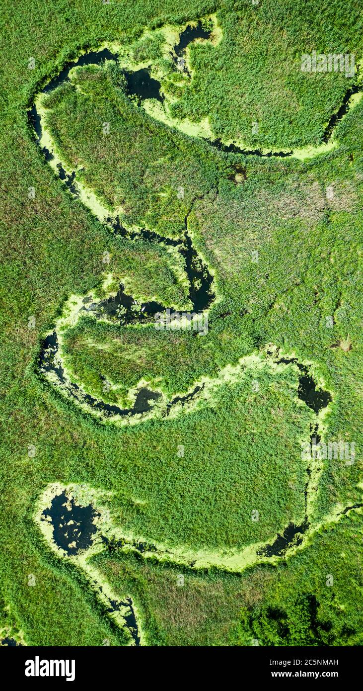 Top down view of blooming algae on the river Stock Photo - Alamy
