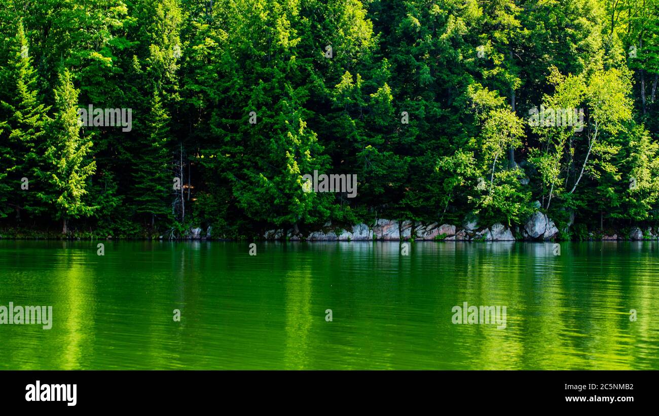 Parc Omega, Canada, July 3 2020 - The lakeside stunning view in the ...