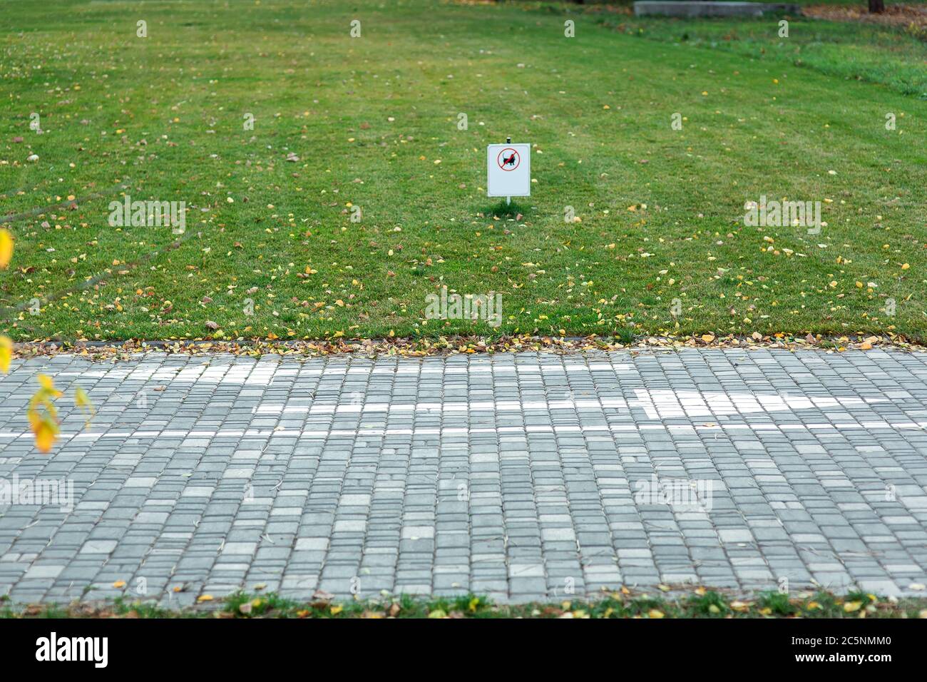 A bicycle path made of paving slabs with markings and a traffic ...