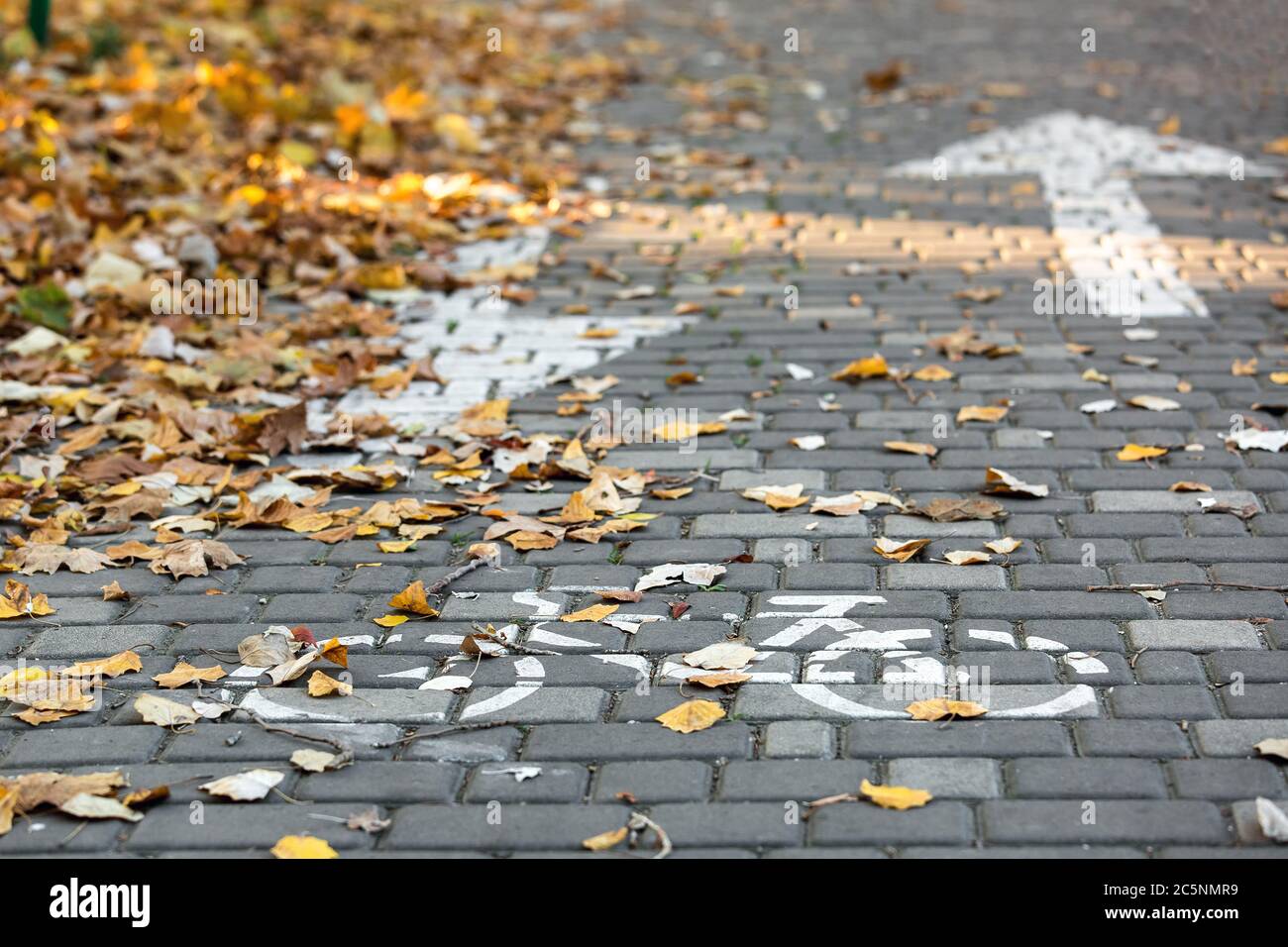 A bicycle path paved with gray square tiles and strewn with yellow ...