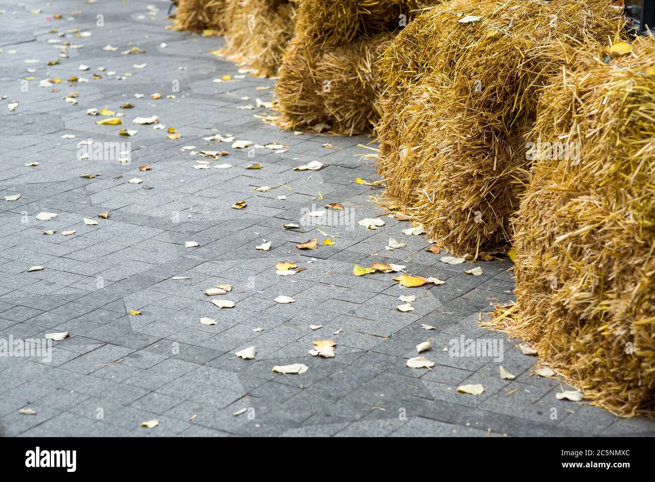 A pedestrian sidewalk of tile paved with a pattern covered with yellow ...