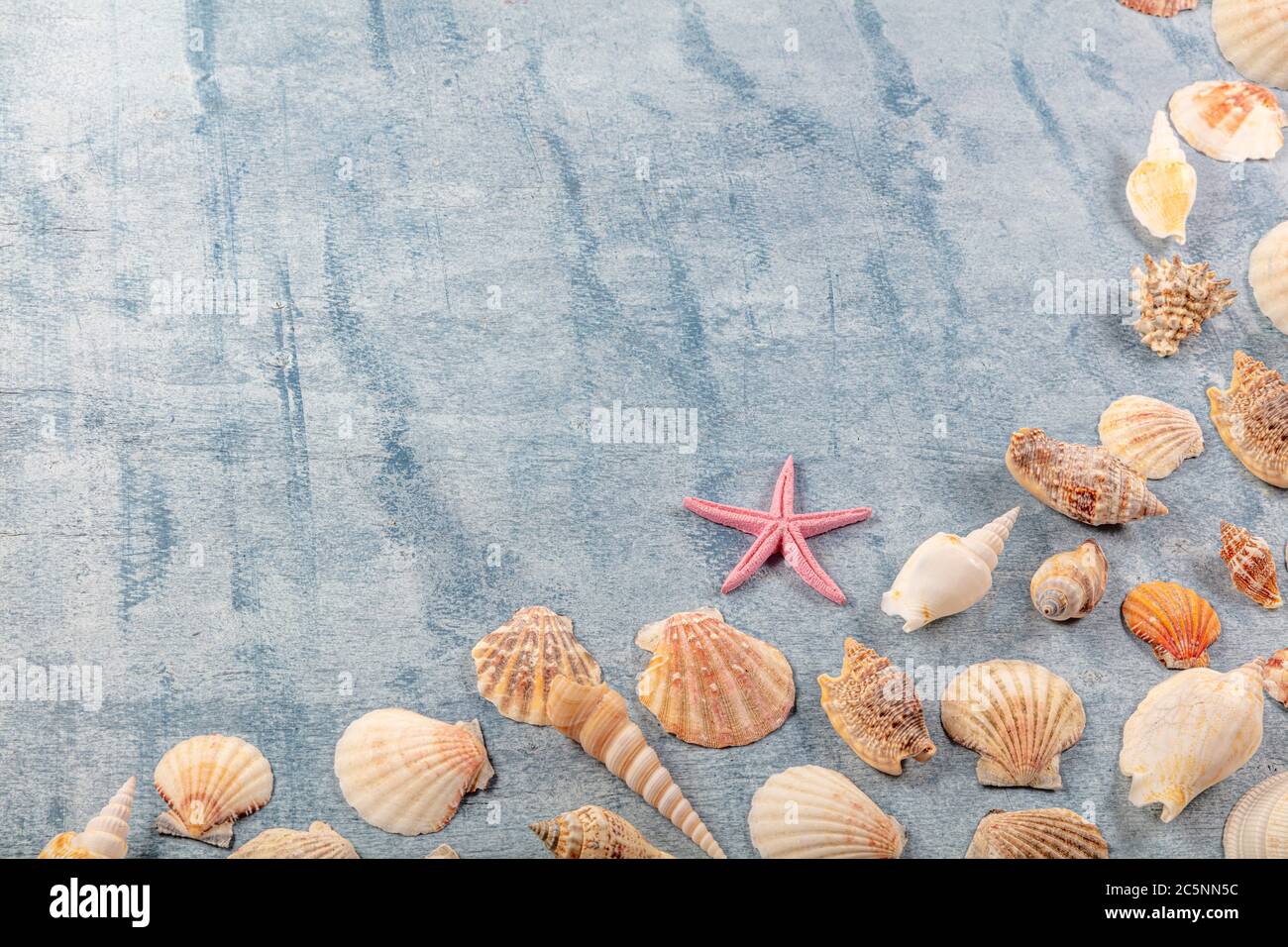 Summer, holiday, vacation, Starfish And Seashell On Blue Plank. Summer ...