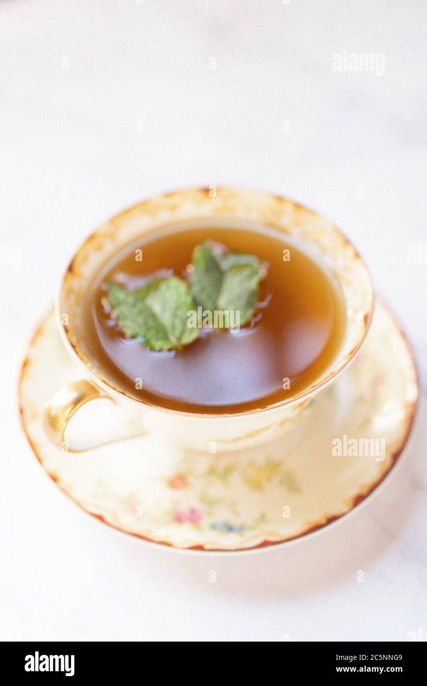 Traditional mint tea cup with fresh mint leaves on a white marble table ...