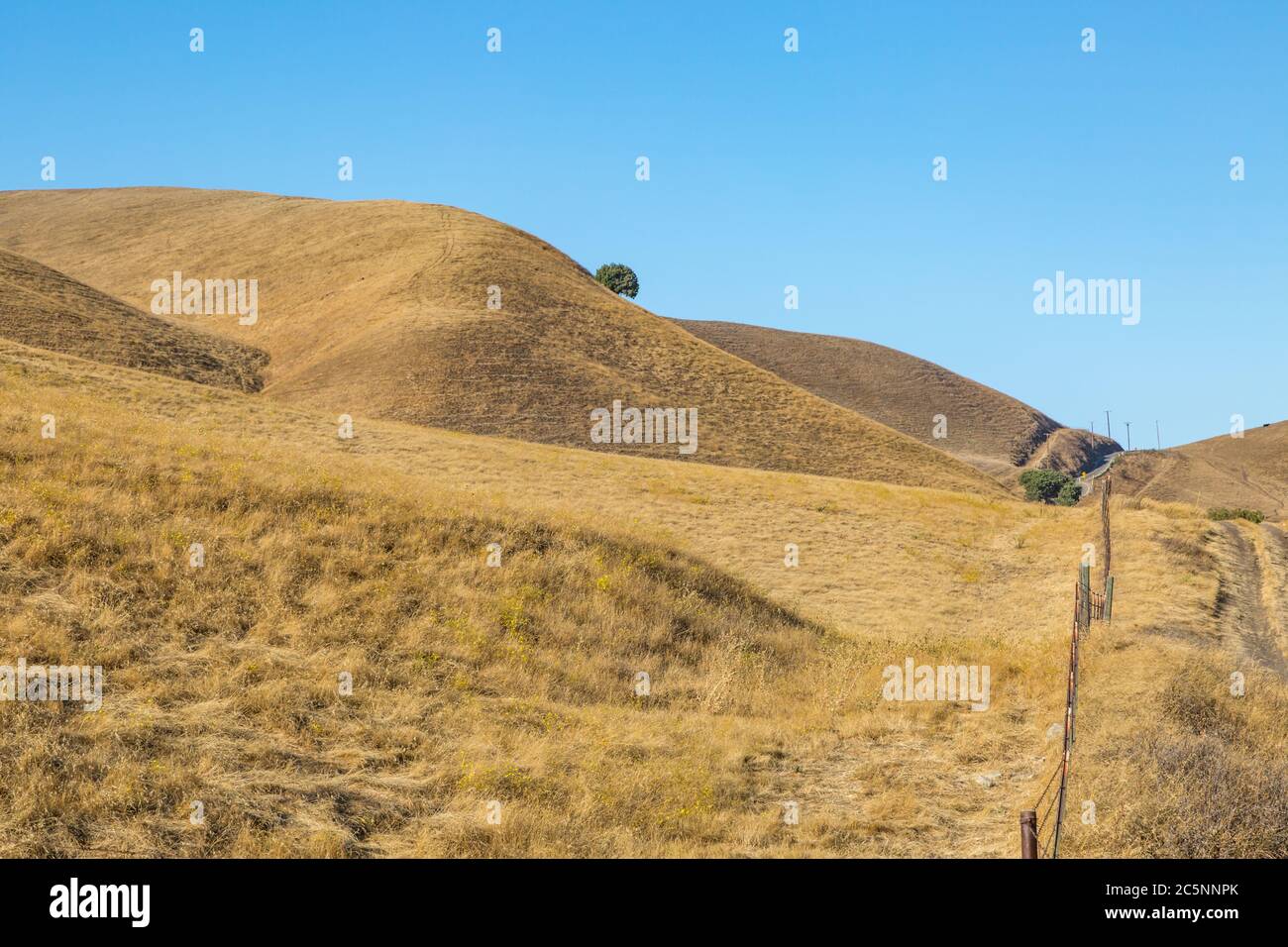 California golden hills hillside summer hi-res stock photography and ...