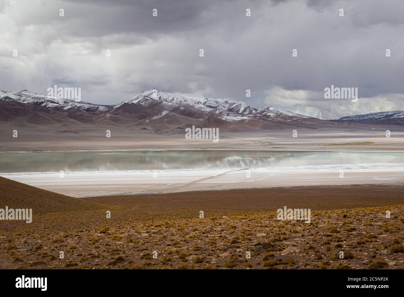 Lake on the Puna in Argentina's northwest Stock Photo - Alamy