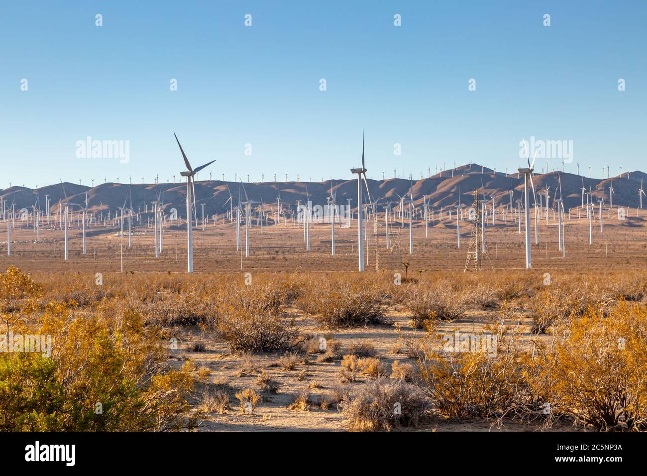 An abundance of wind turbines near Mojave in California Stock Photo - Alamy