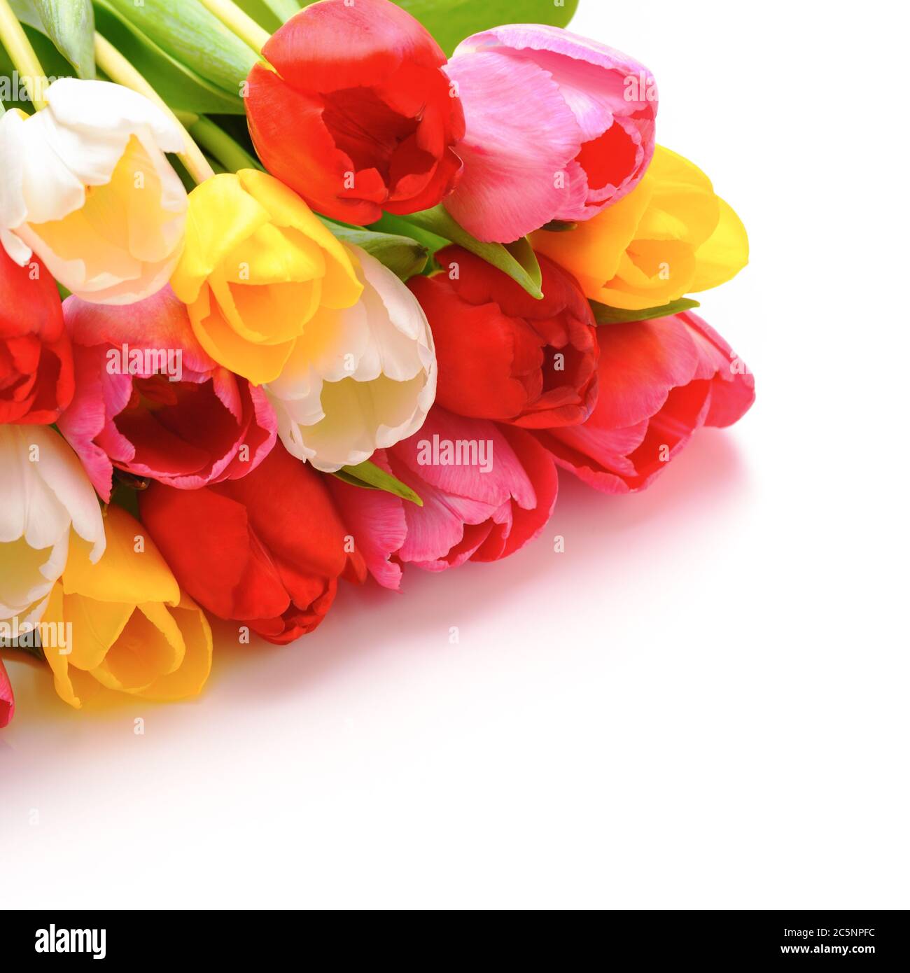 Bouquet of fresh, bright, multi-colored tulips on a white background ...