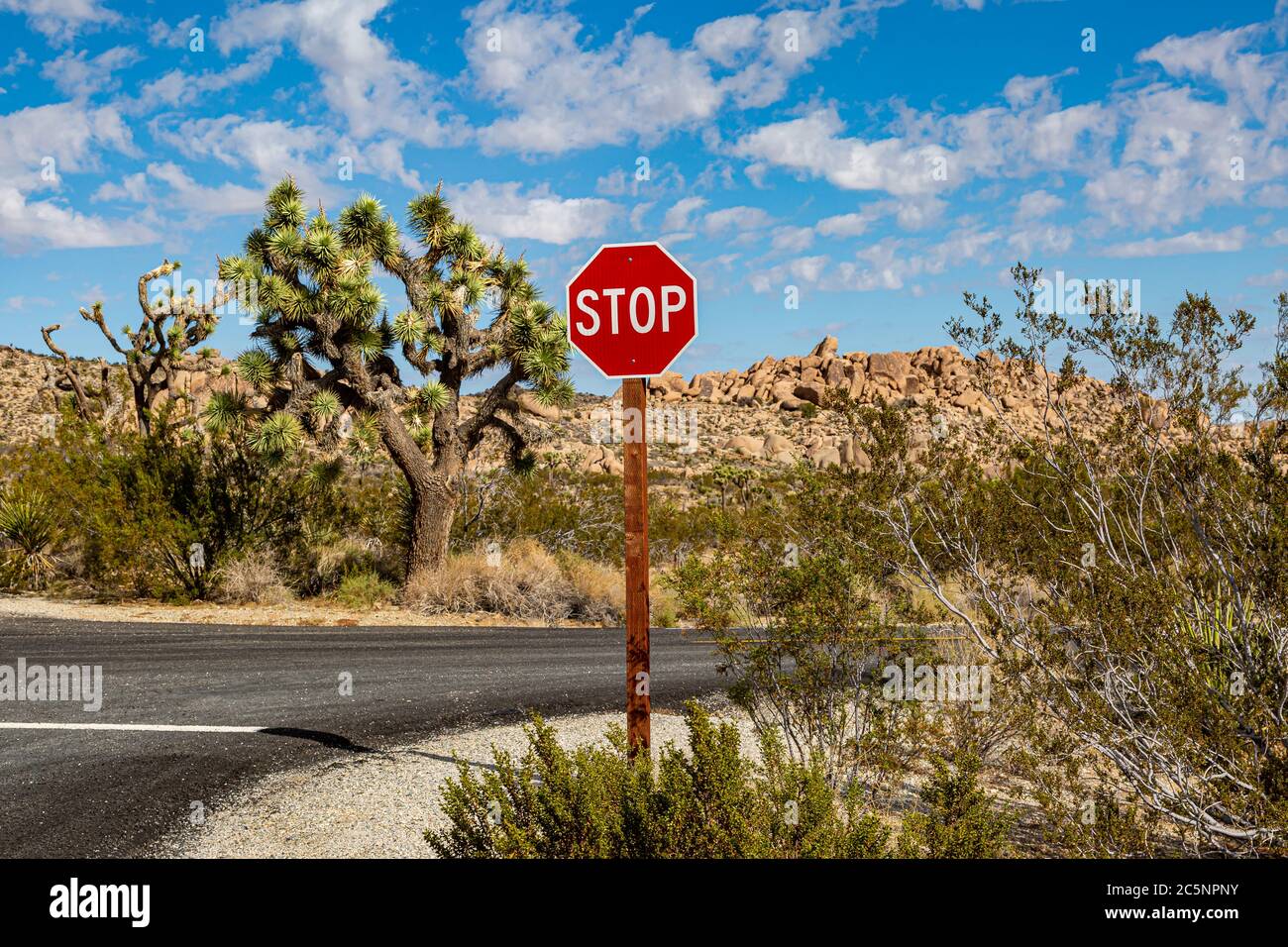 A STOP sign in Joshua Tree National Park, on a sunny day Stock Photo ...