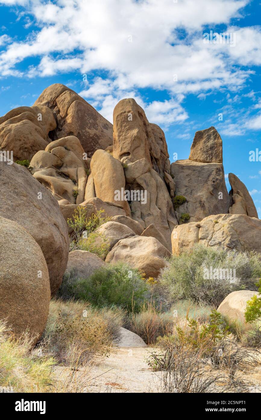 Rock formations in Joshua Tree National Park, in California Stock Photo ...