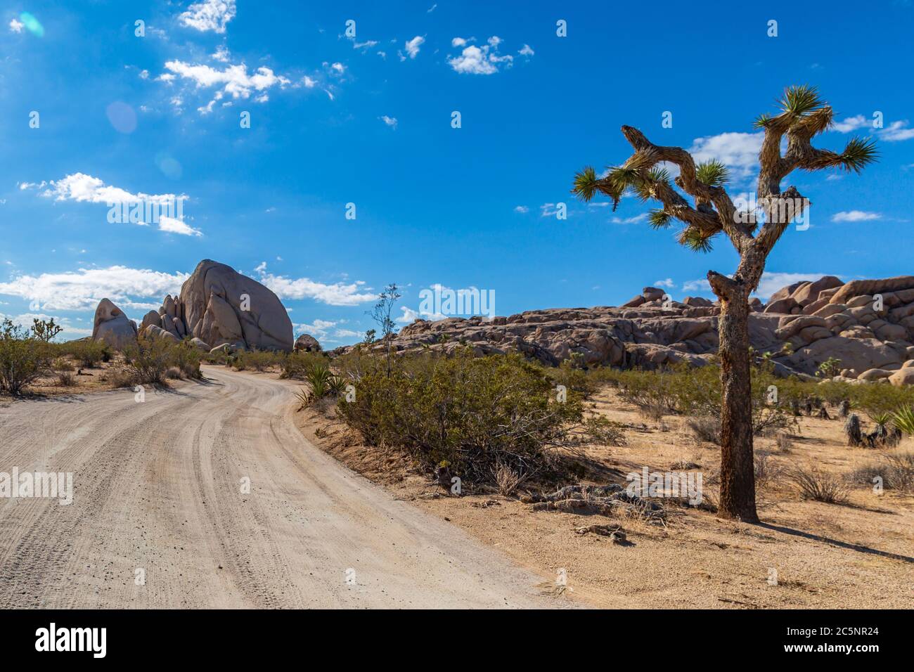 A road through Joshua Tree National Park in California, with a view of ...