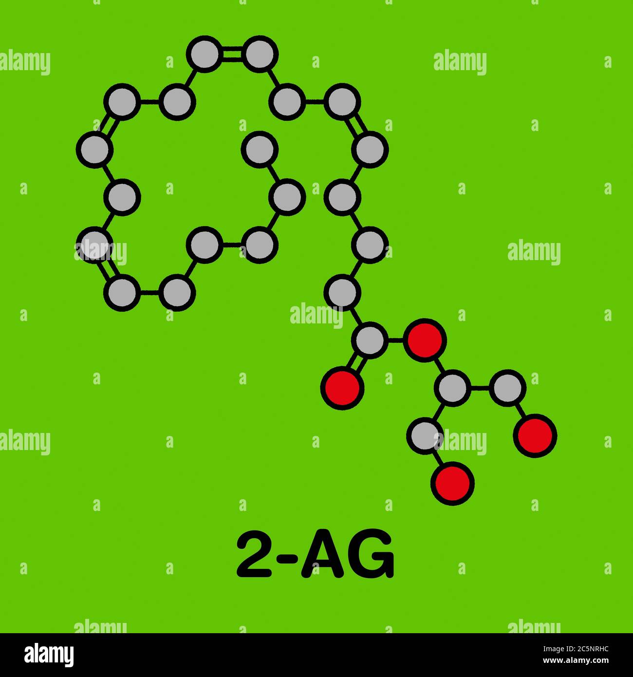 2-Arachidonoylglycerol (2-AG) endocannabinoid neurotransmitter molecule ...