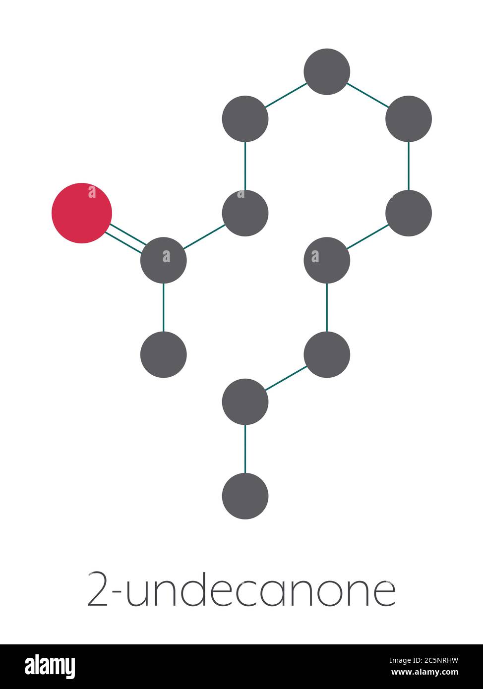 Methyl nonyl ketone (2-undecanone) insect repellent molecule. Stylized ...