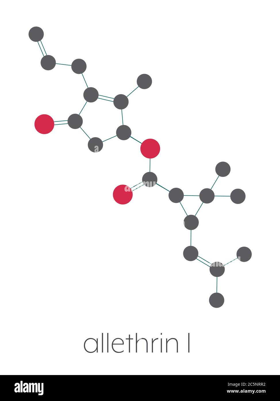 Allethrin pyrethroid insecticide. Synthetic analog of chrysanthemum ...