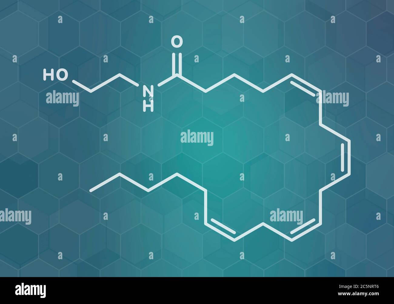 Anandamide endogenous cannabinoid neurotransmitter molecule. Skeletal ...