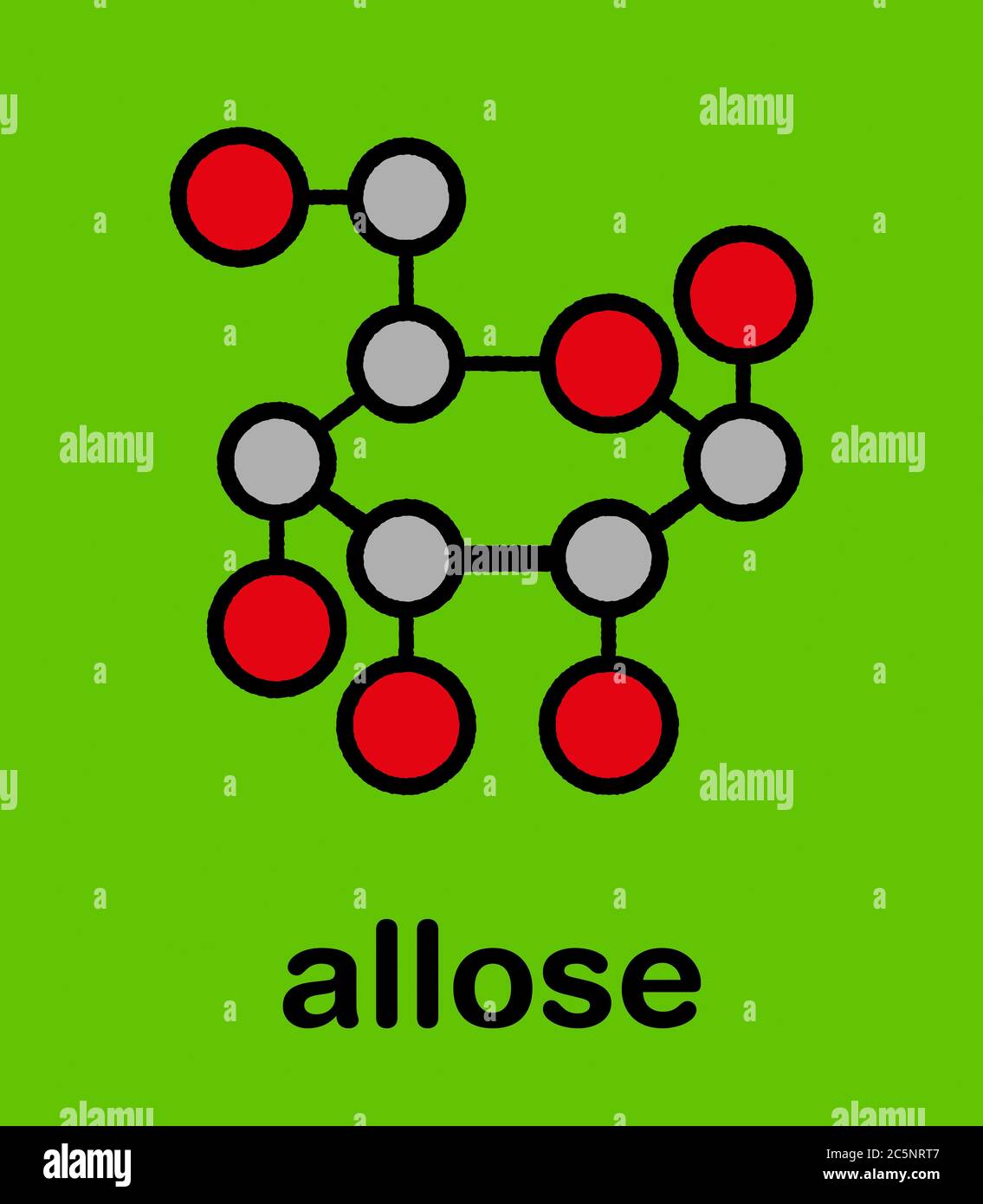 Allose (beta-D-allopyranose form) sugar molecule. Stylized skeletal ...