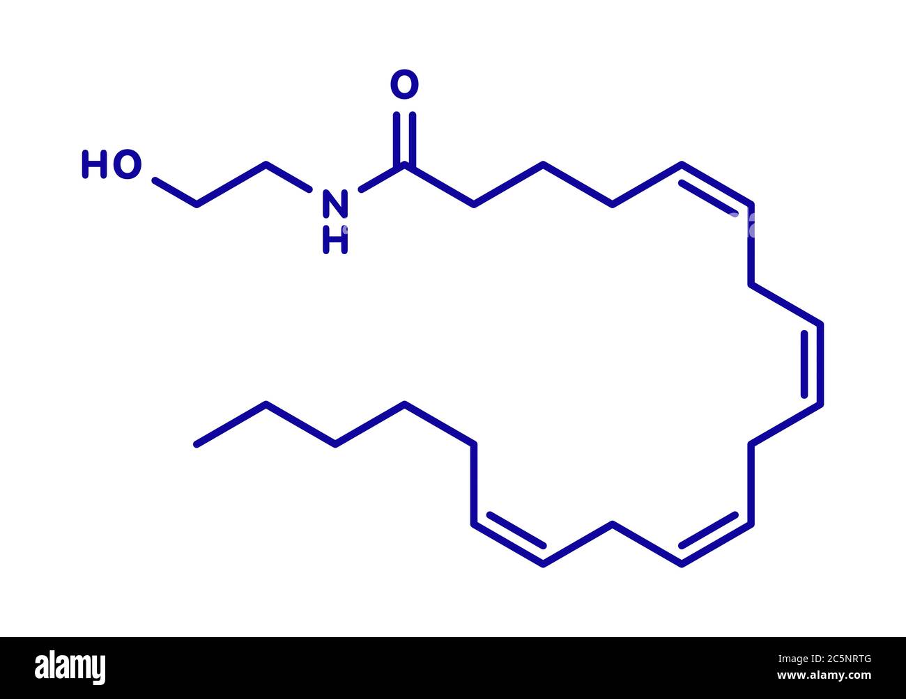 Anandamide endogenous cannabinoid neurotransmitter molecule. Skeletal ...