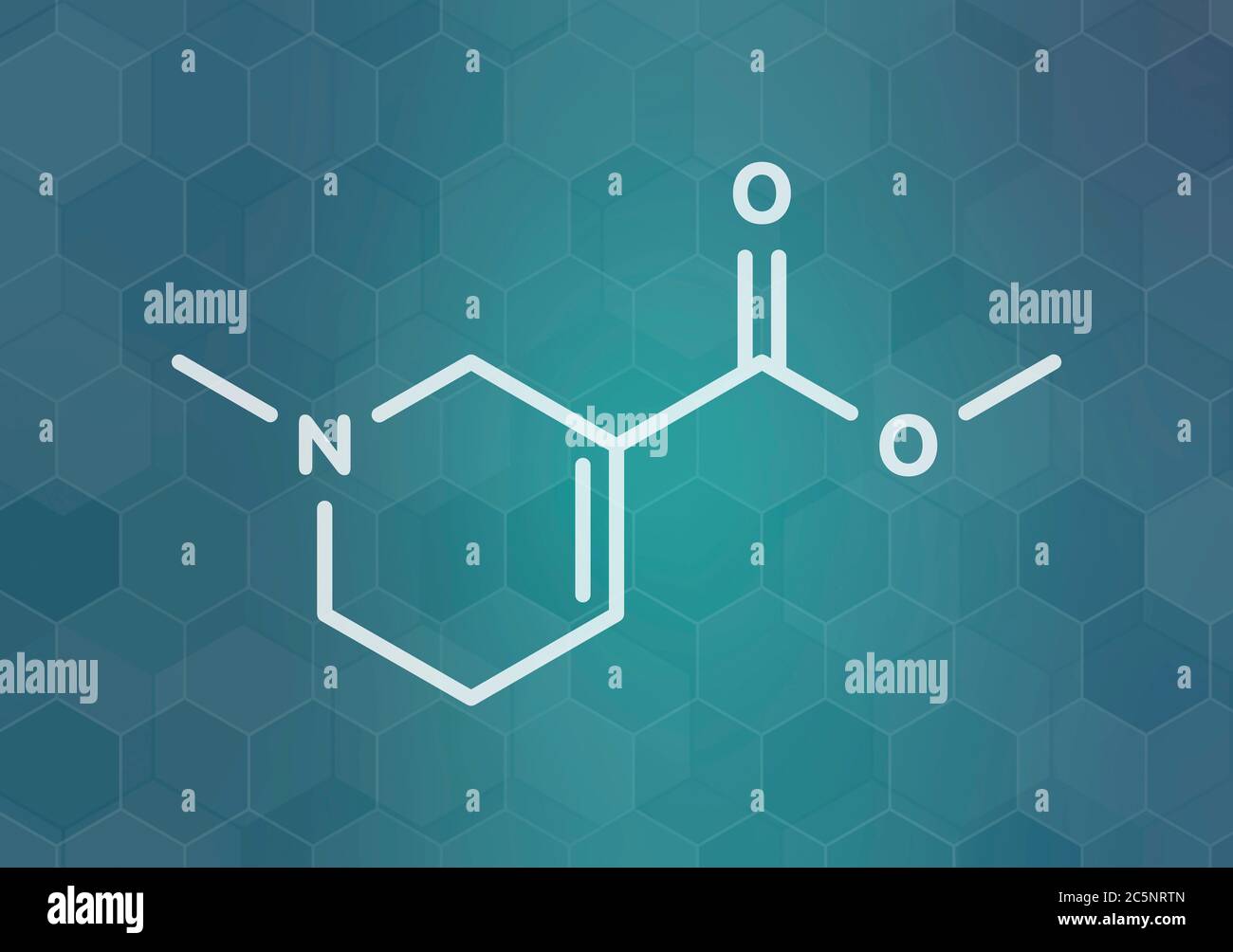 Arecoline areca nut stimulant compound, chemical structure. Skeletal ...
