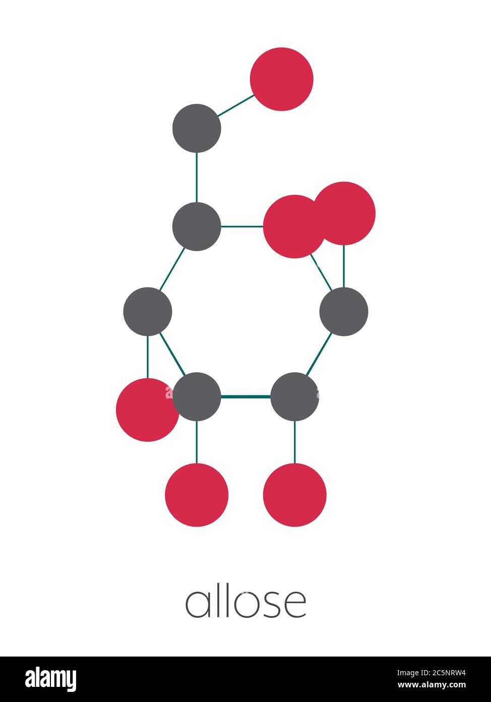 Allose (beta-D-allopyranose form) sugar molecule. Stylized skeletal ...