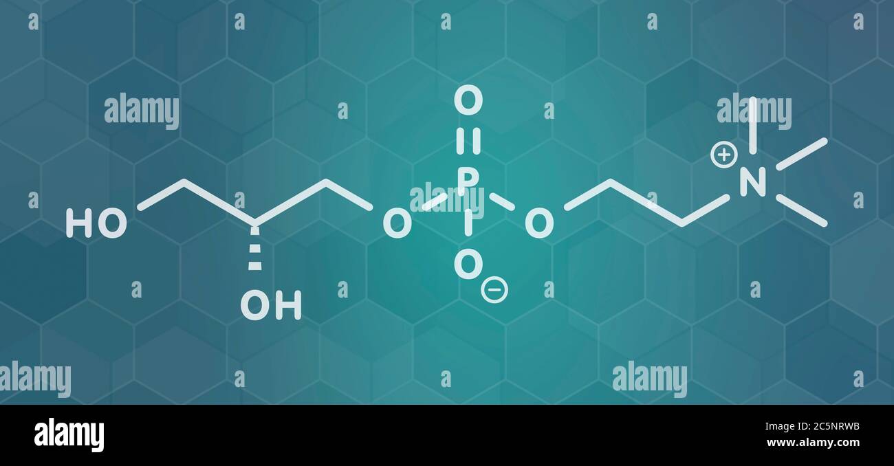Alpha gpc molecule hi-res stock photography and images - Alamy