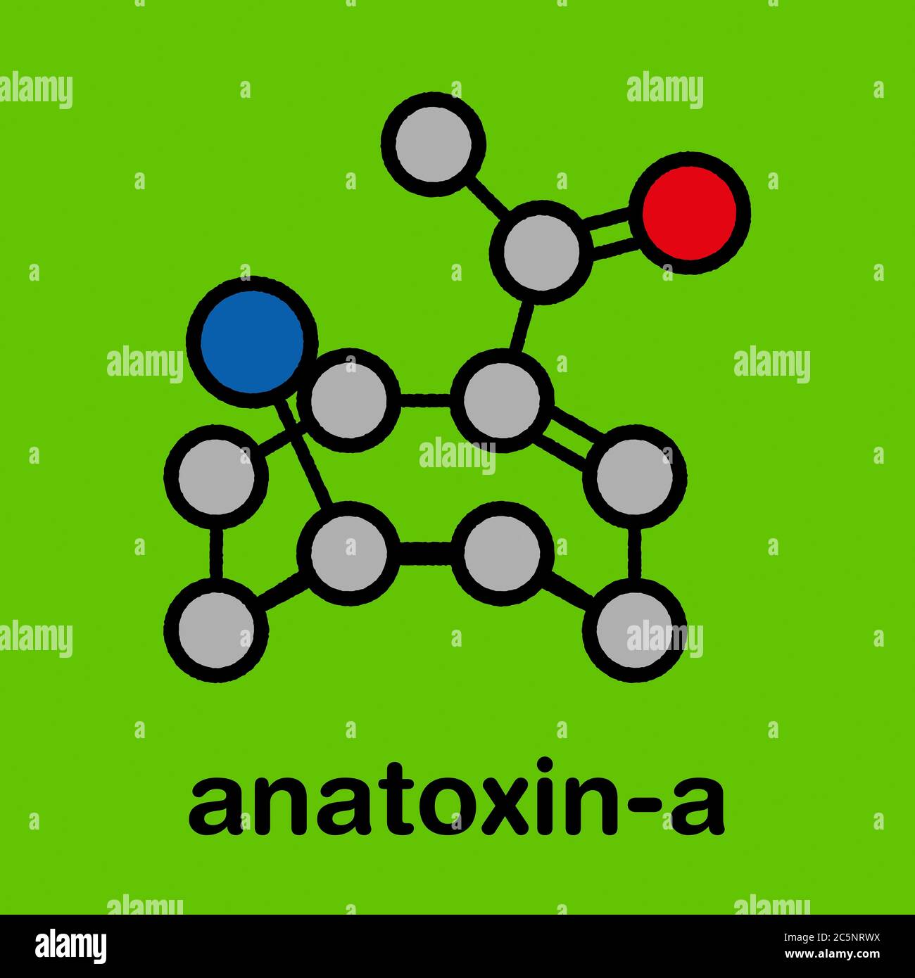 Anabaena hi-res stock photography and images - Alamy