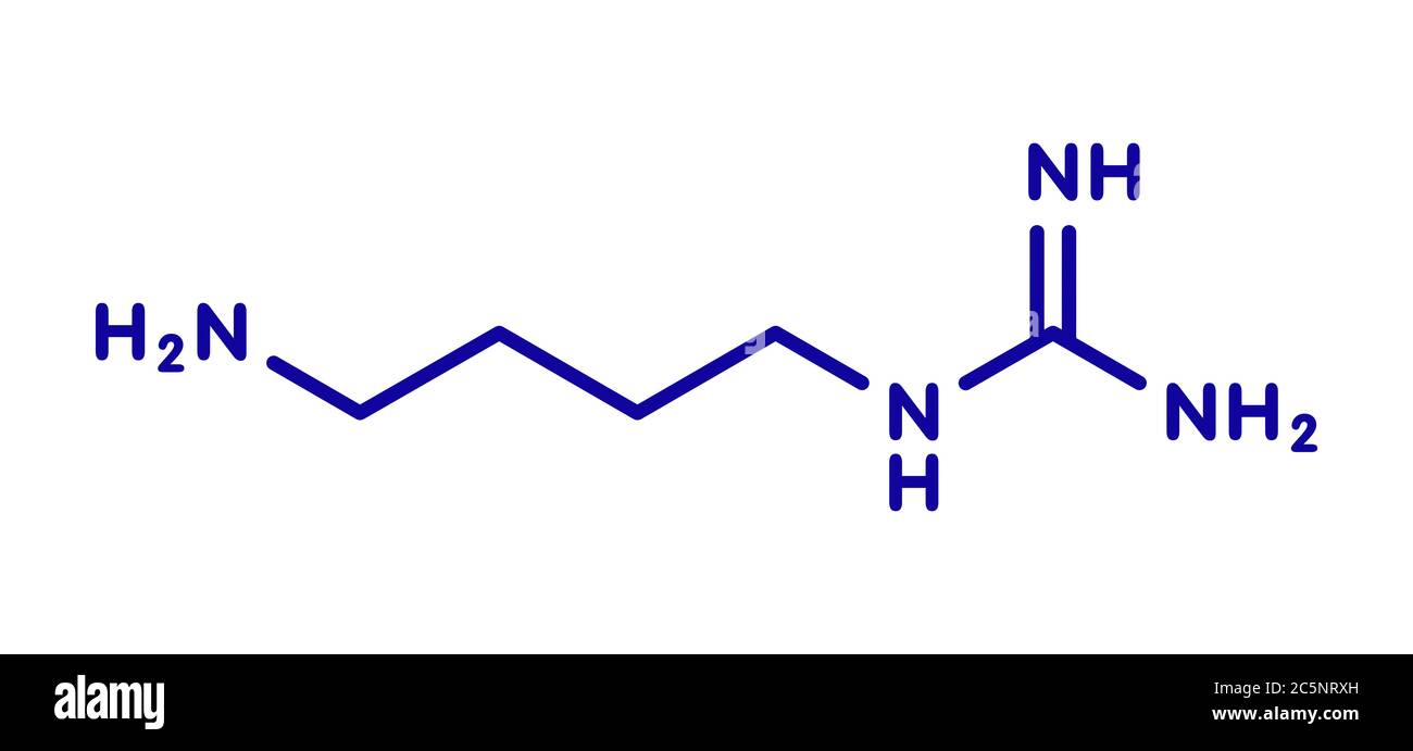 Agmatine molecule. Skeletal formula Stock Photo - Alamy