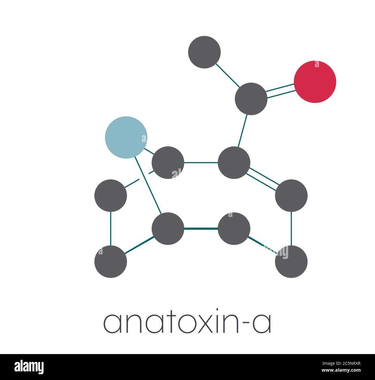 Anatoxin-a (very fast death factor, VFDF) molecule. Stylized skeletal ...