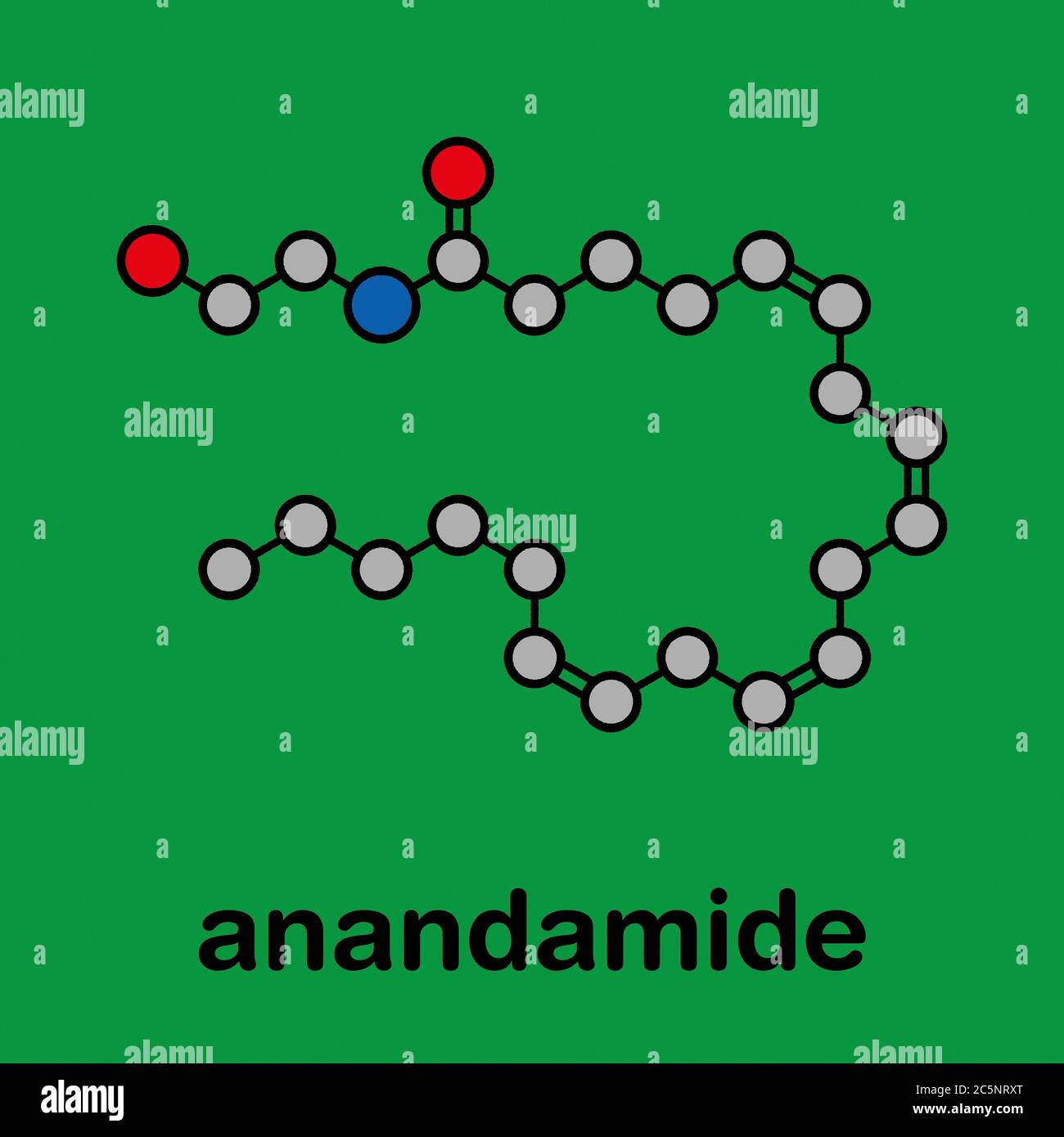 Anandamide endogenous cannabinoid neurotransmitter molecule. Stylized ...