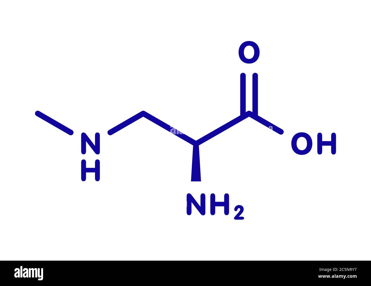 beta-Methylamino-L-alanine (BMAA) toxic amino acid molecule. Produced ...