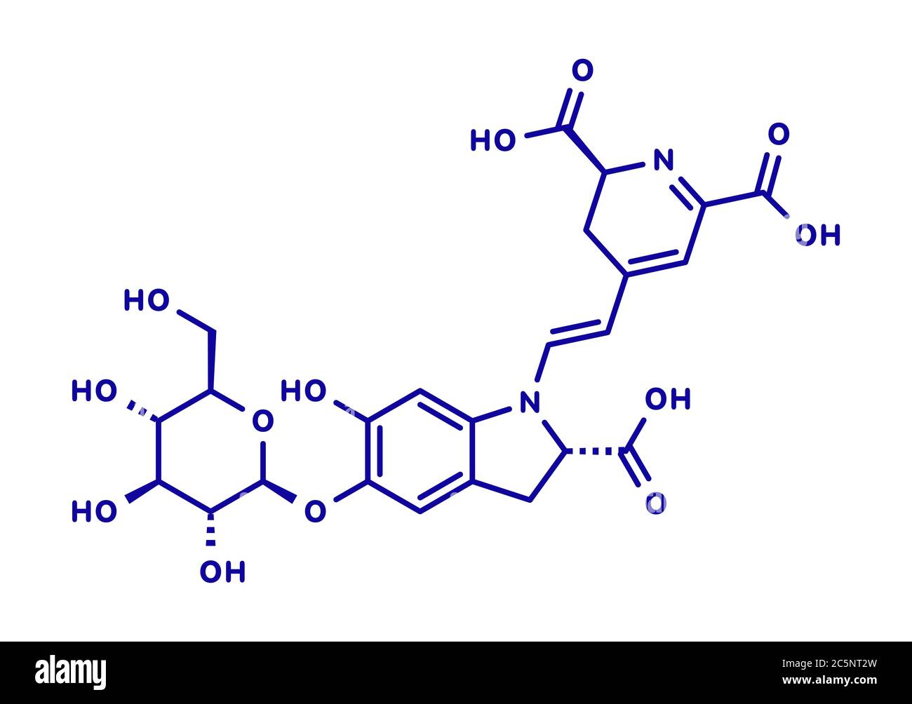 Betanin or beetroot red plant pigment molecule. Skeletal formula Stock ...