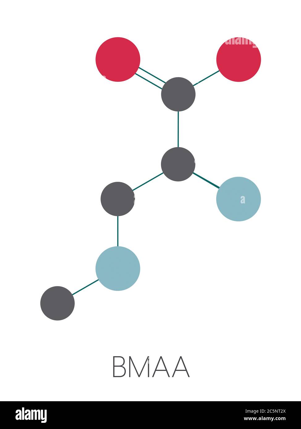beta-Methylamino-L-alanine (BMAA) toxic amino acid molecule. Produced ...