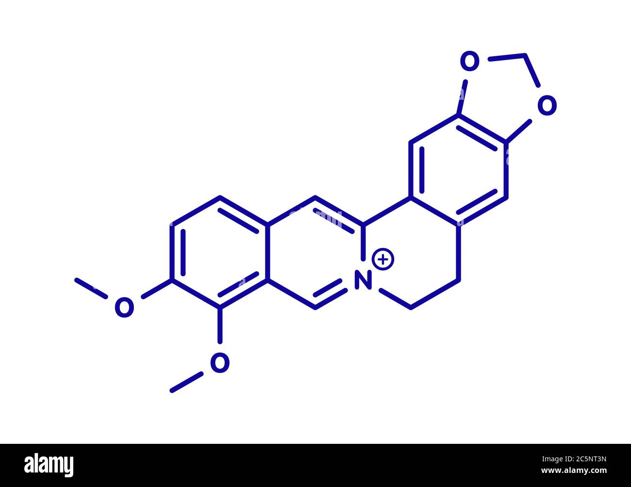 Berberine alkaloid molecule. Present in number of plants. Used as a ...