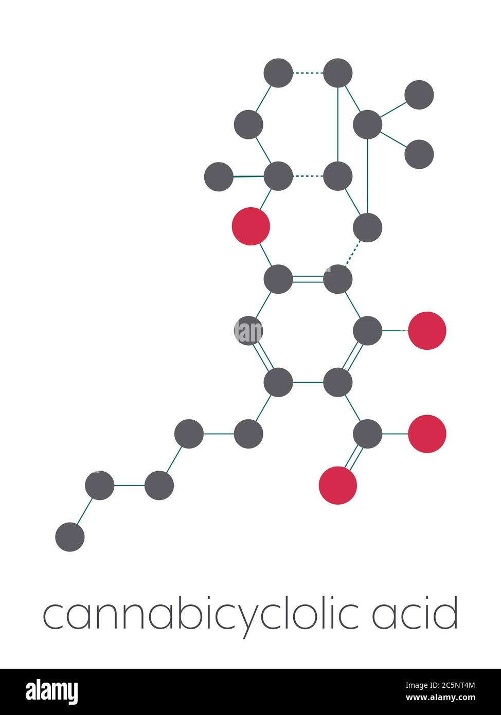Cannabicyclolic acid cannabinoid molecule. Stylized skeletal formula ...