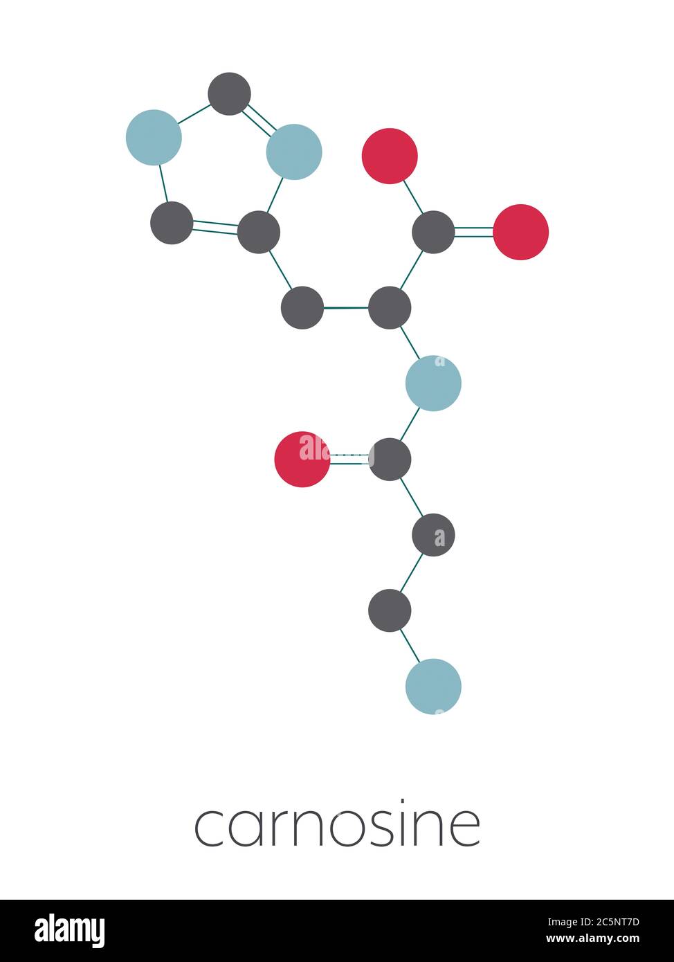 Carnosine (L-carnosine) food supplement molecule. Stylized skeletal ...