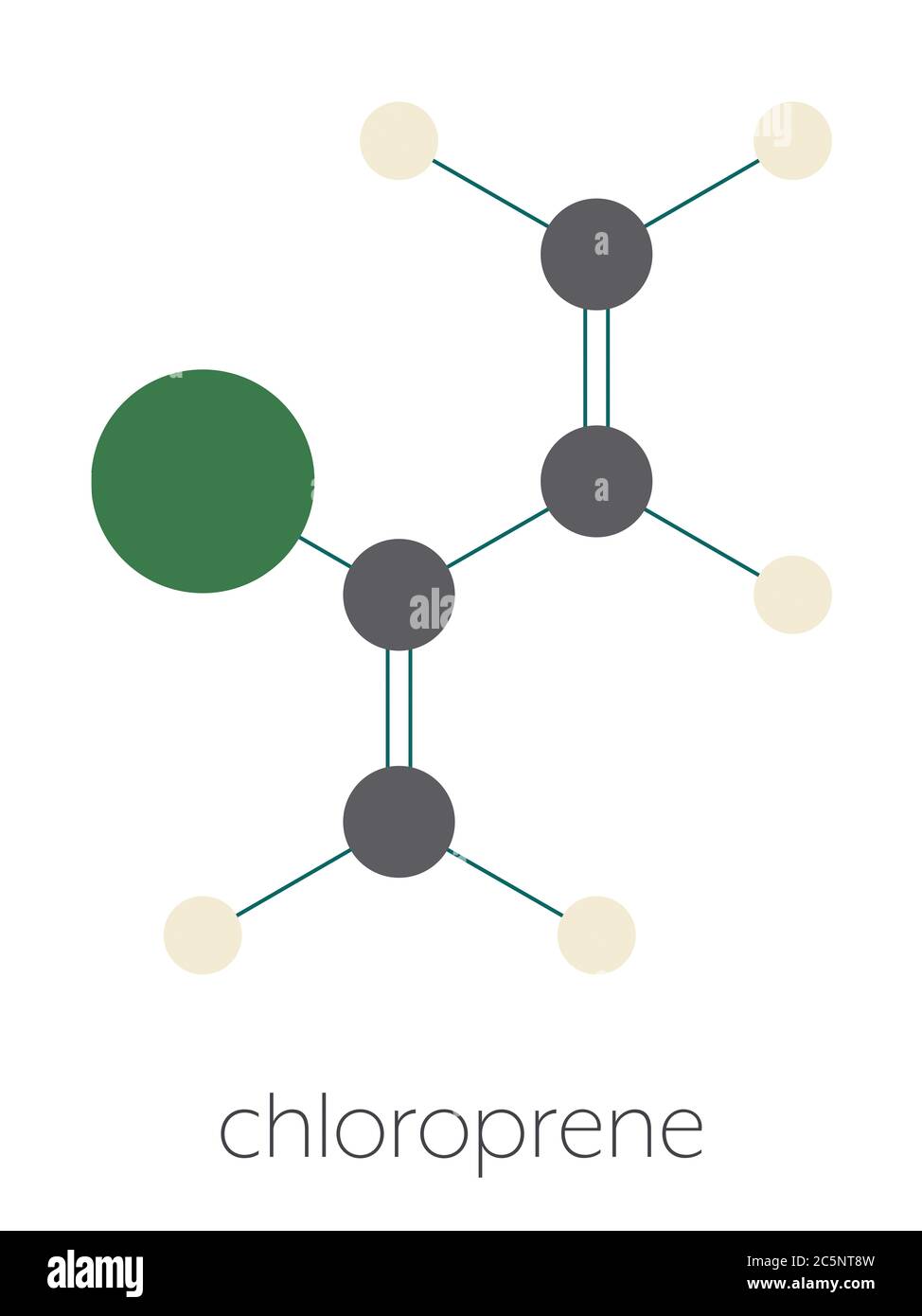 Polychloroprene hi-res stock photography and images - Alamy