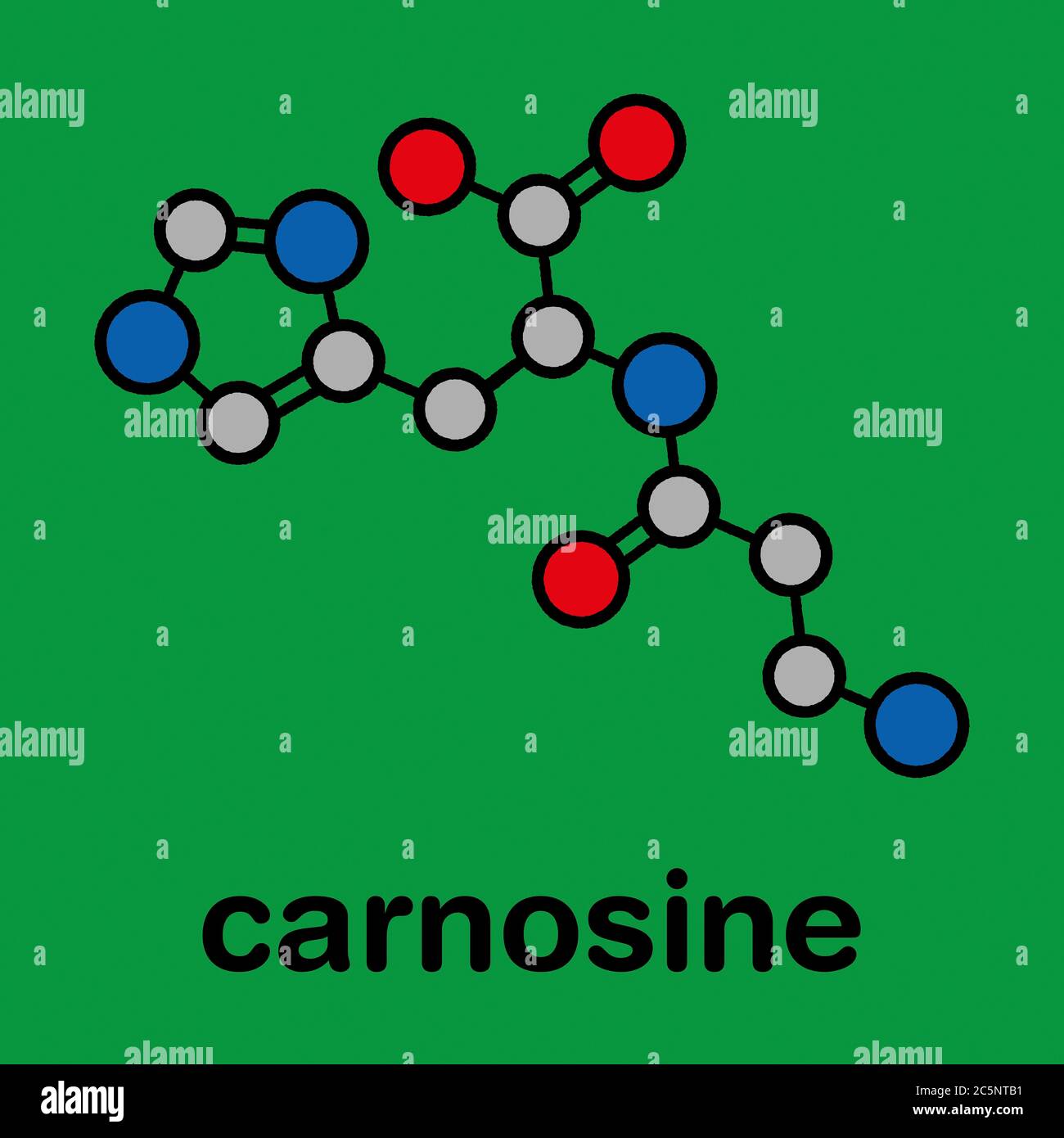 Carnosine (L-carnosine) food supplement molecule. Stylized skeletal ...