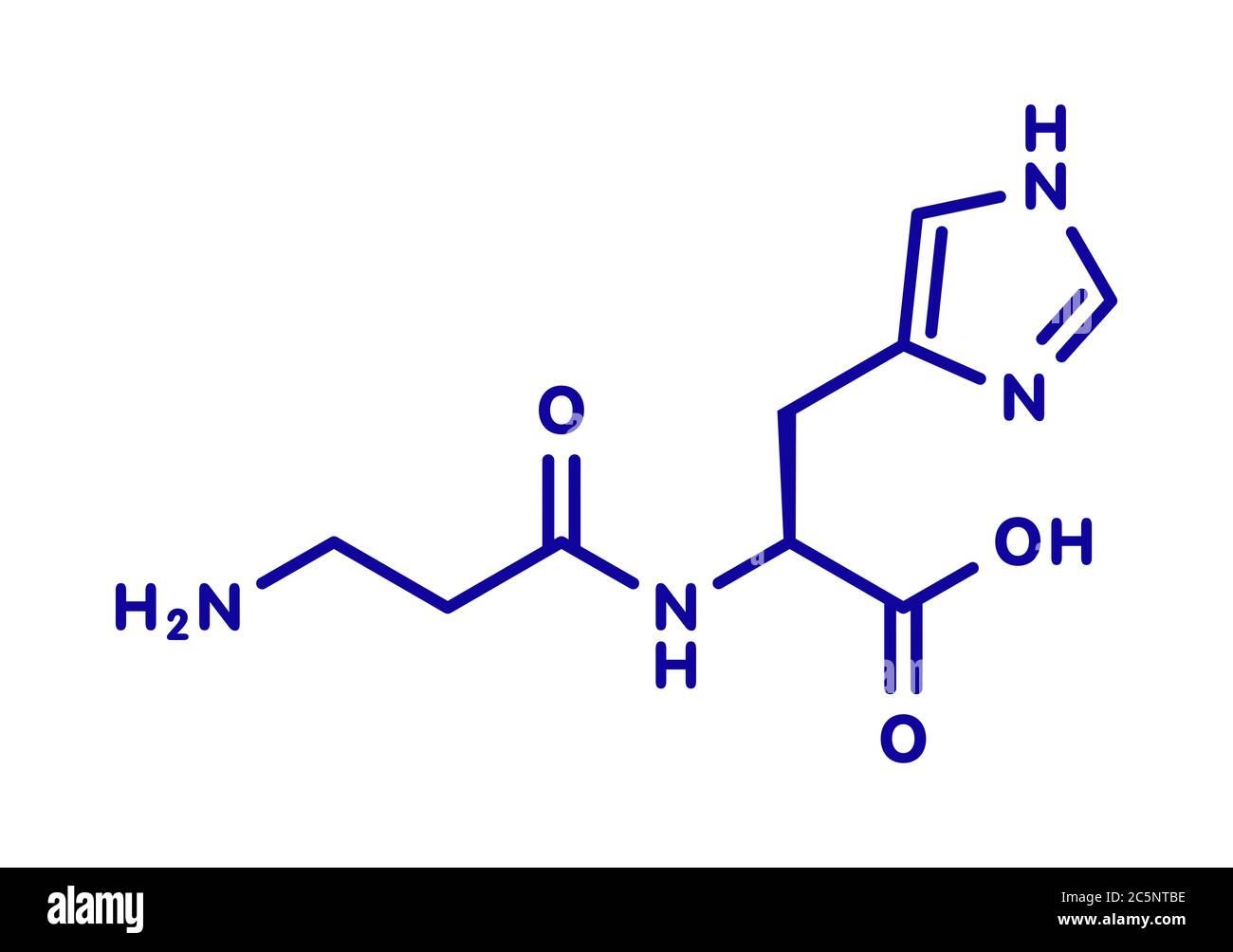 Carnosine (L-carnosine) food supplement molecule. Skeletal formula ...